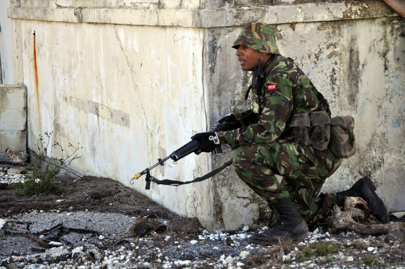 Ruger Mini-14: A smaller version of the military M14 rifle