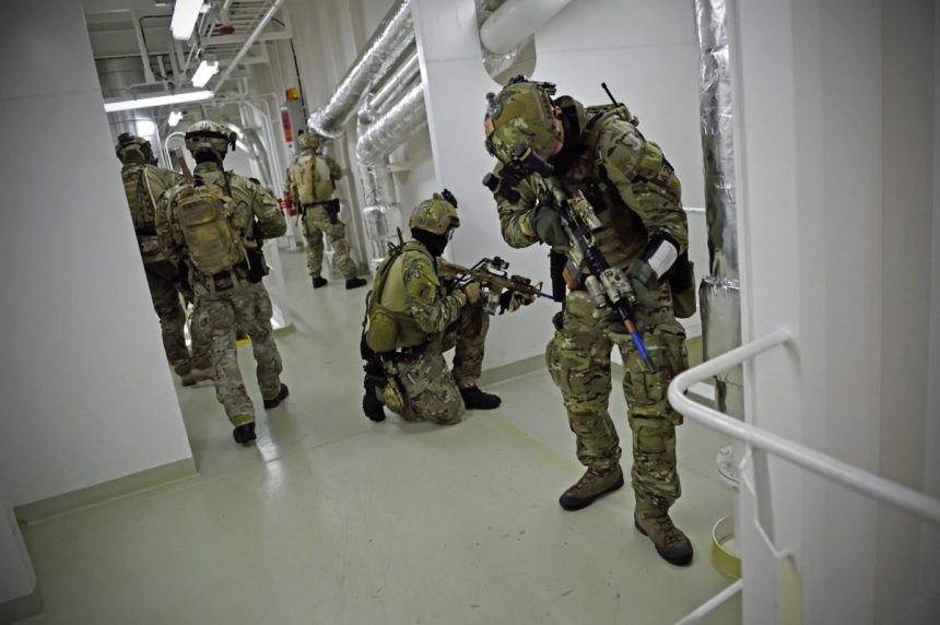 Frogman Corps: A Danish counterpart to the Navy SEALs